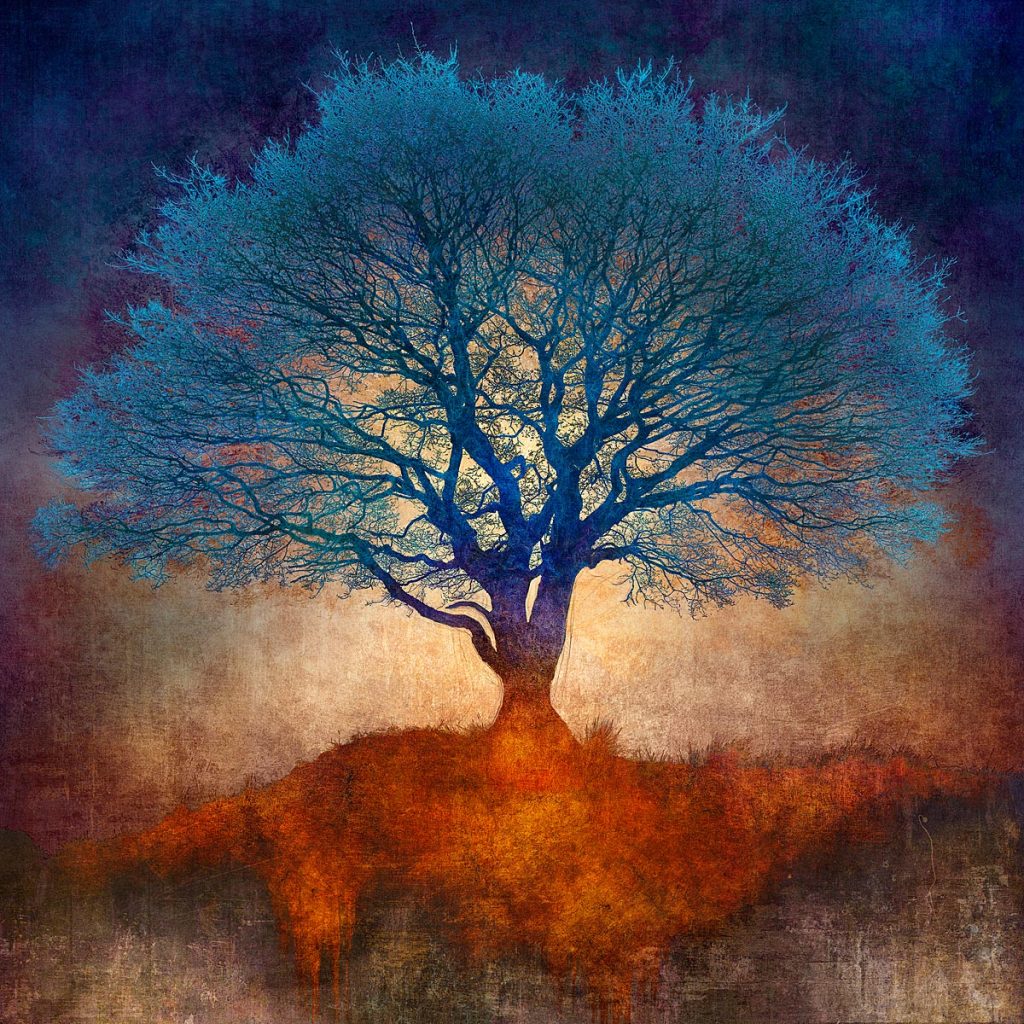 Blue Mist N51 0552 E0 0811 Artwork No Naked Walls